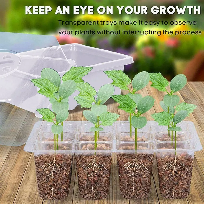 Transparent Nursery Potting Trays