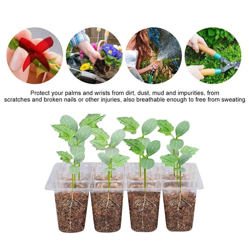 Transparent Nursery Potting Trays