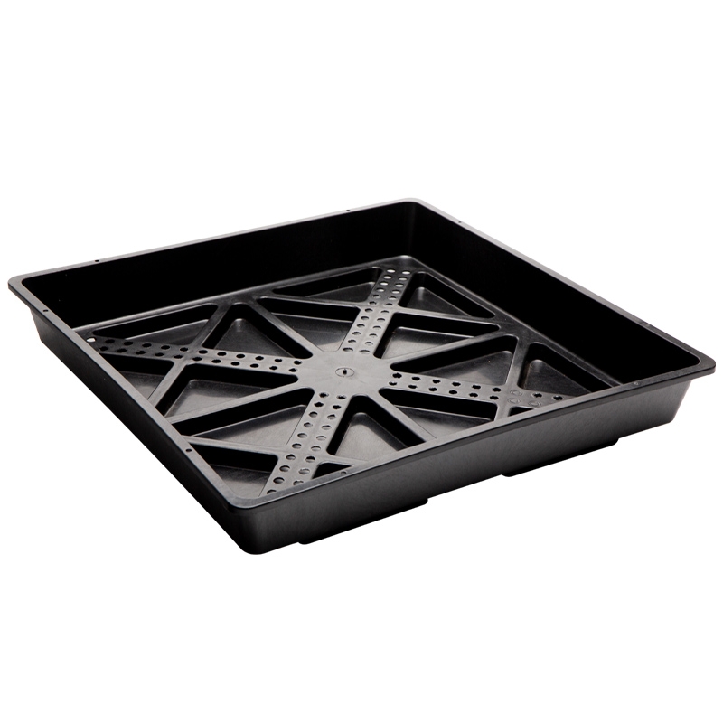 Wheatgrass Growing Tray