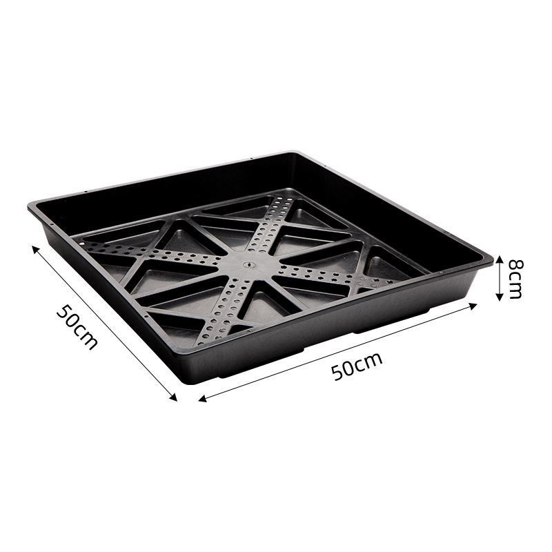 Wheatgrass Growing Tray