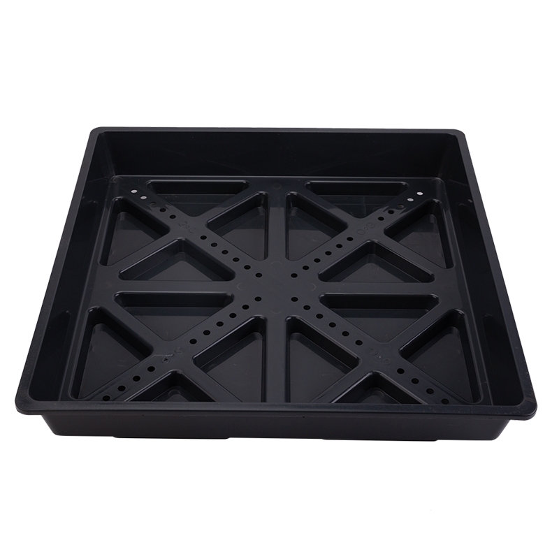 Wheatgrass Growing Tray