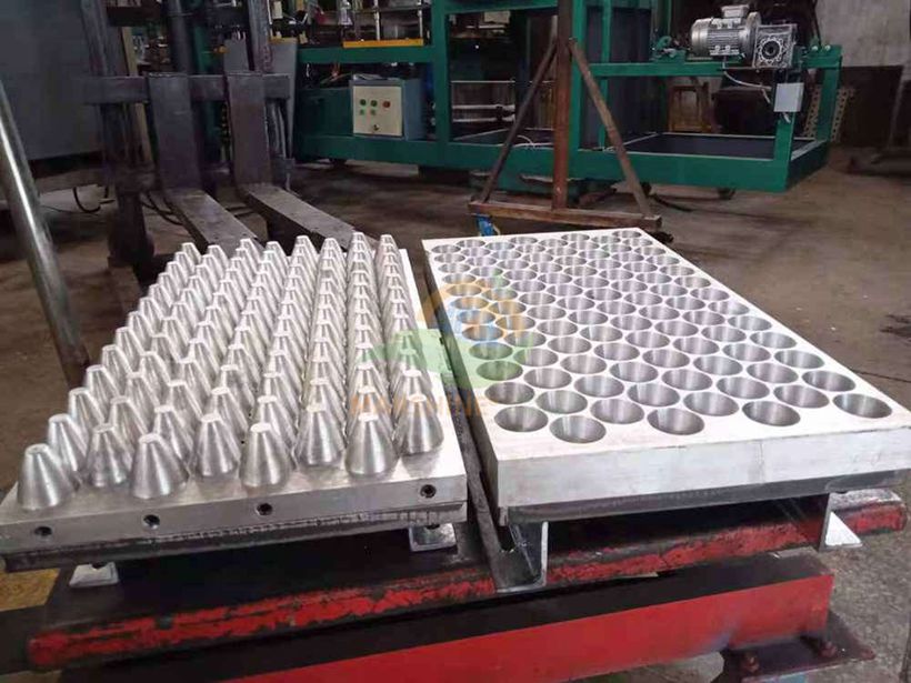 plastic seedling tray mould | vacuum mold | forming die