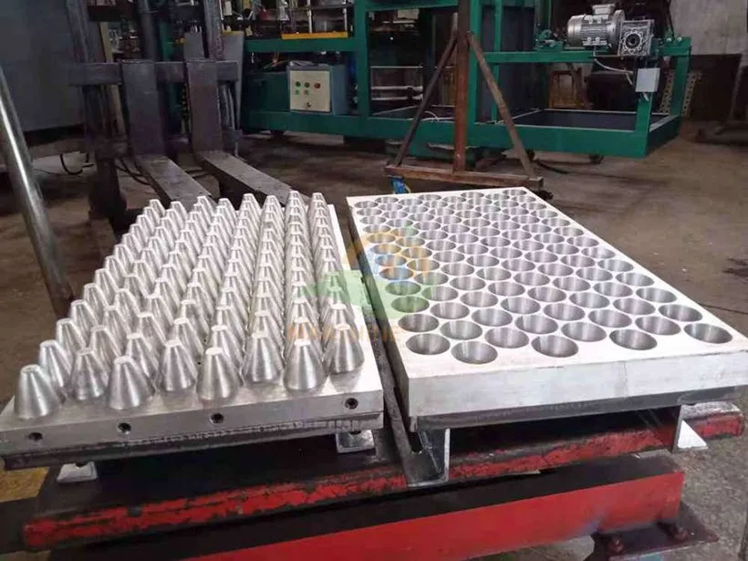 plastic seedling tray mould | vacuum mold | forming die