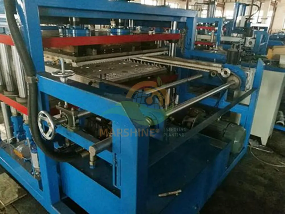plastic seedling tray manufacturing making machine