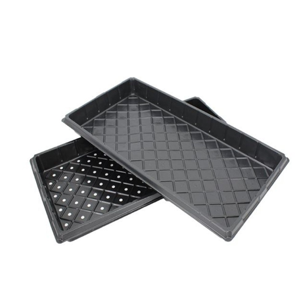 planting seed plug trays