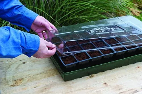 How to Plant Seeds in a Basic Seed Tray？