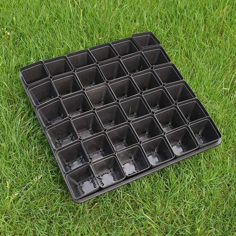 Plastic Plant Seedling Pots With Tray