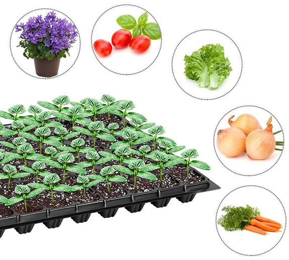 What is The Seedling Tray Watering Techniques？