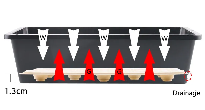 self watering seed seedling trays