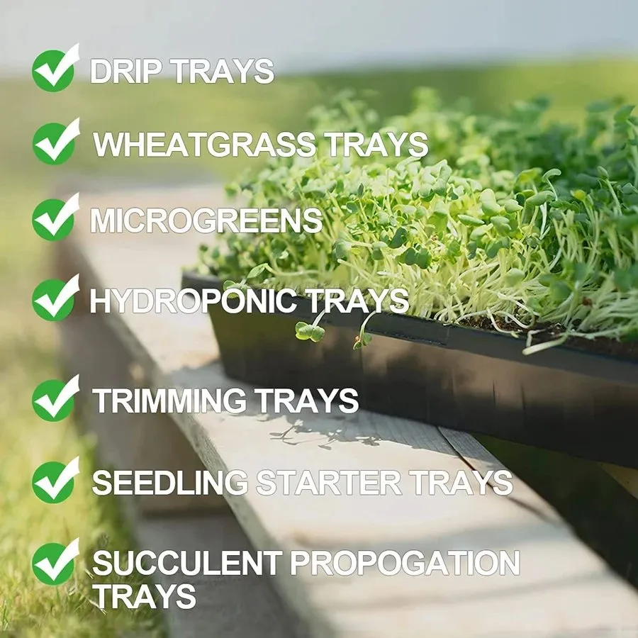 10x20 Planting Trays Without Holes