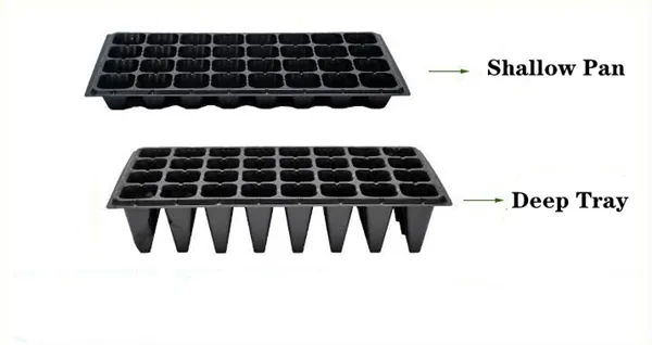 How to Choose The Plastic Seed Trays
