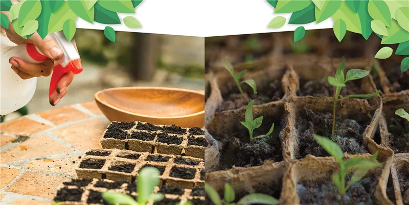 10 Cell Biodegradable Seedling Tray