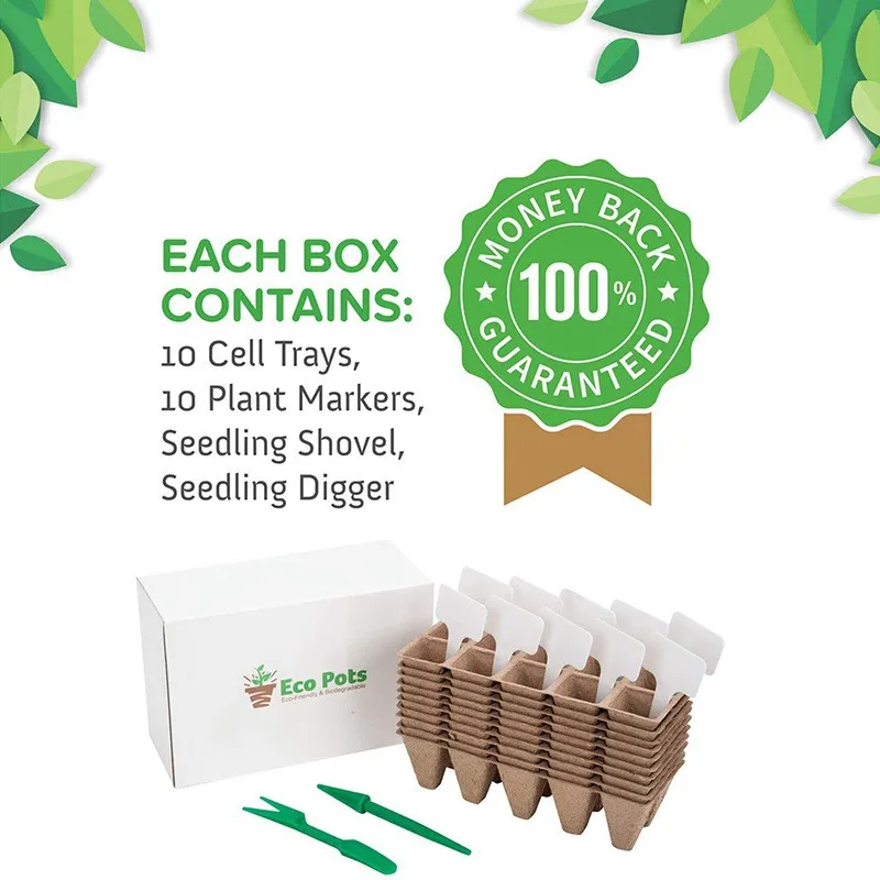 10 Cell Biodegradable Seedling Tray