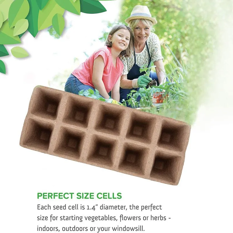 10 Cell Biodegradable Seedling Tray