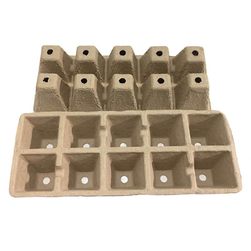 10 Cell Biodegradable Seedling Tray