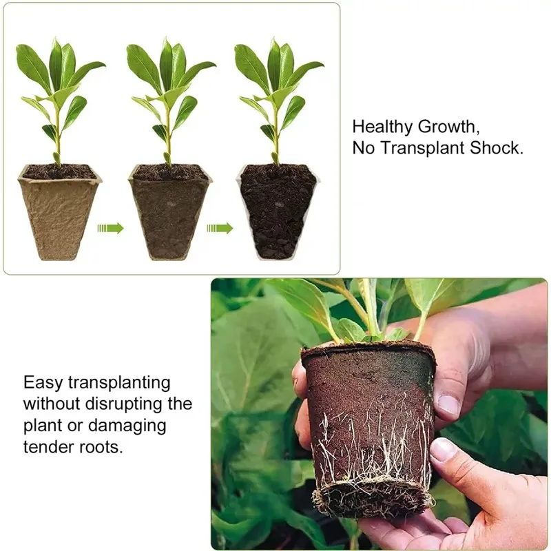 pulp paper seed starting cell trays