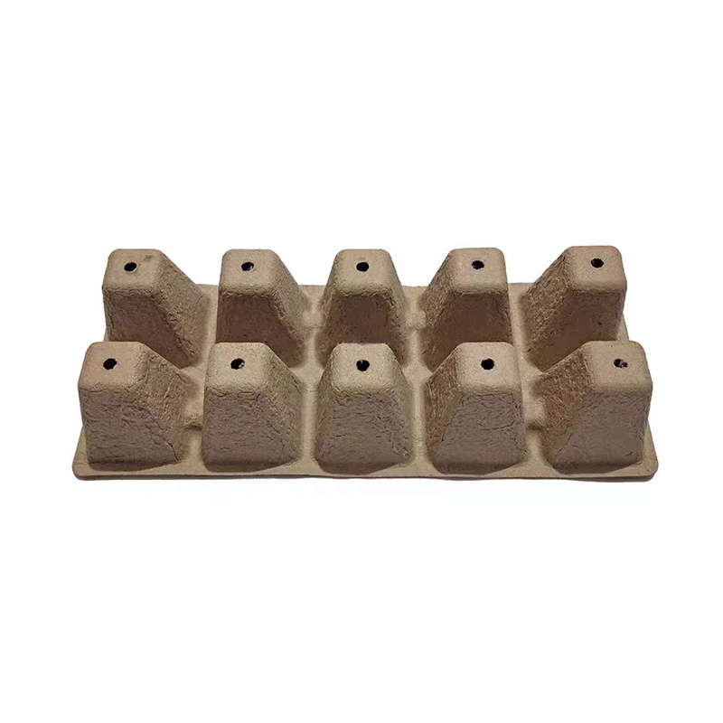 10 Cell Biodegradable Seedling Tray