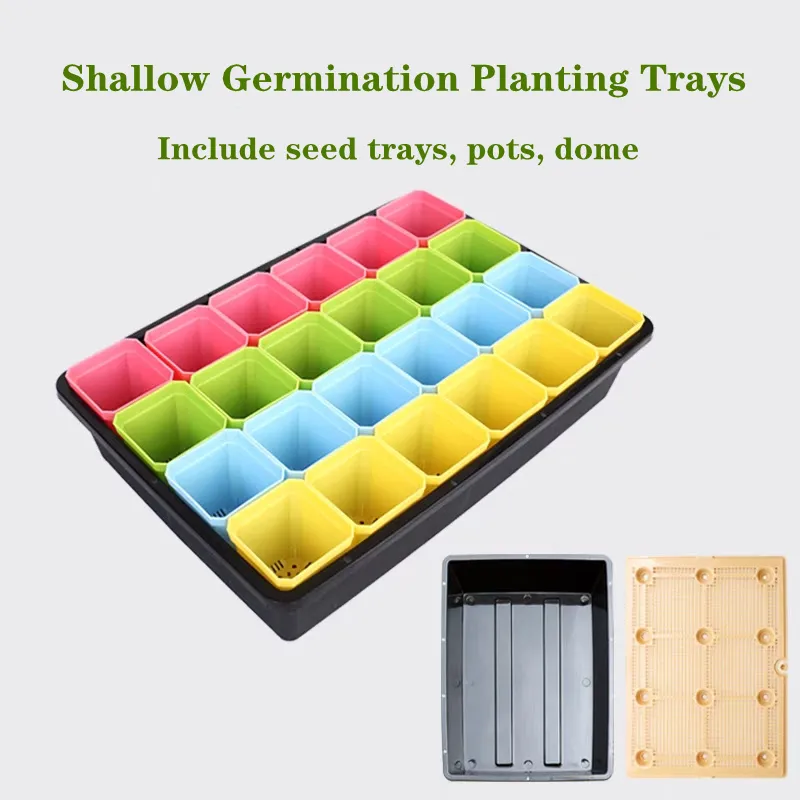 shallow germination planting trays