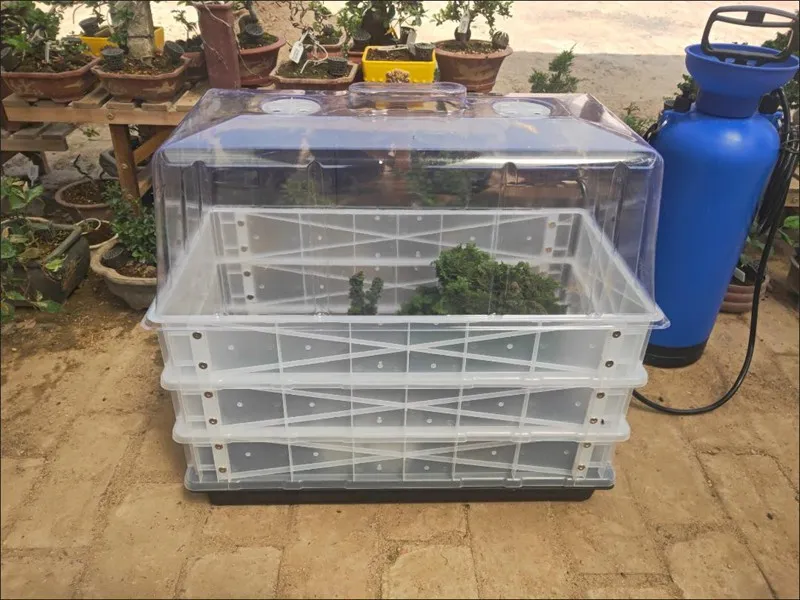 Seed starting humidity dome