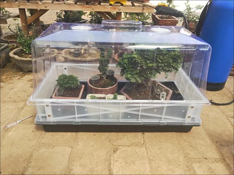 Seed starting humidity dome