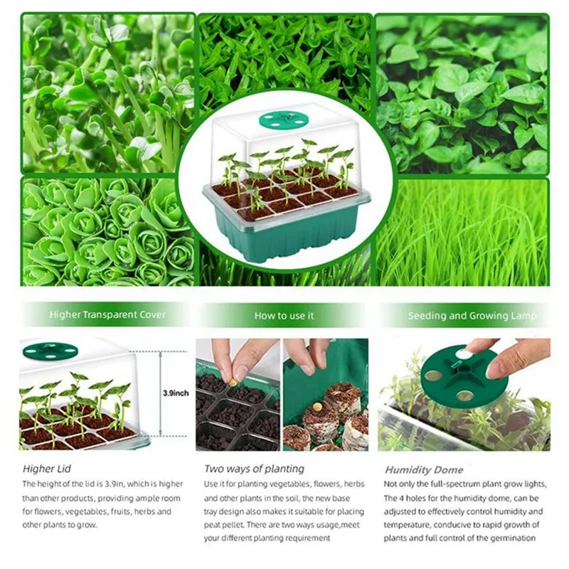 Seed Germination Containers With Lid