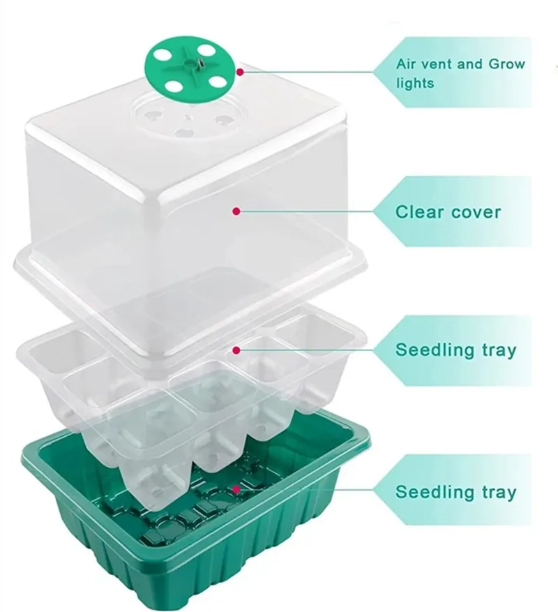 Seed Germination Containers With Lid