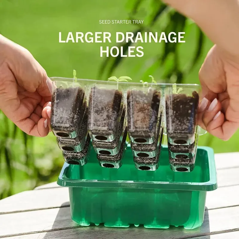 Seed Germination Containers With Lid