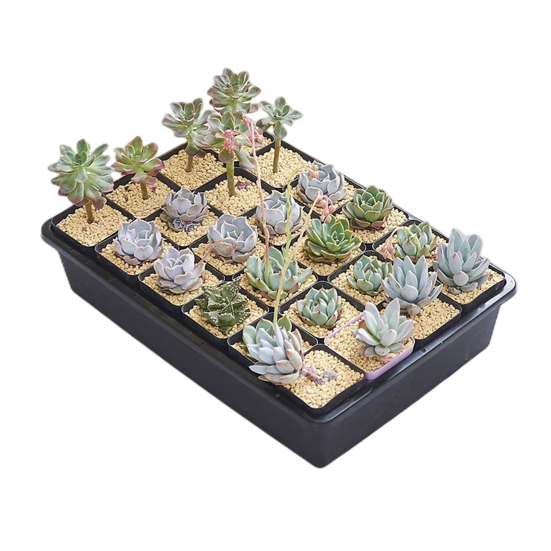 Seed Start Planting Cell Trays