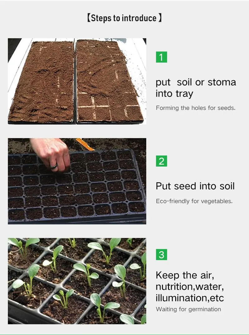 50 Holes Plant Plug Trays
