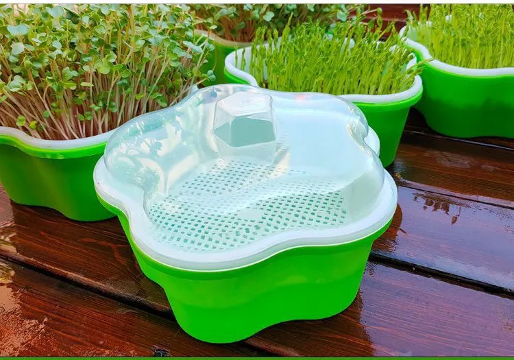 Plant Seed Sprout Trays