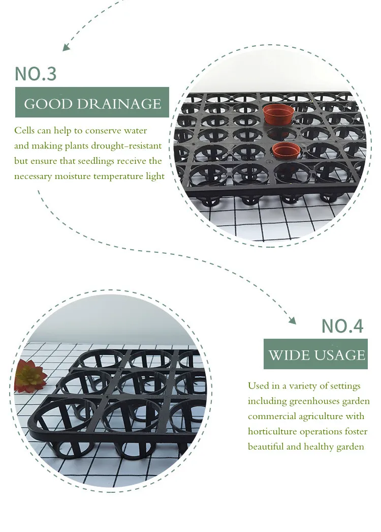 Seed Succulent Planting Trays