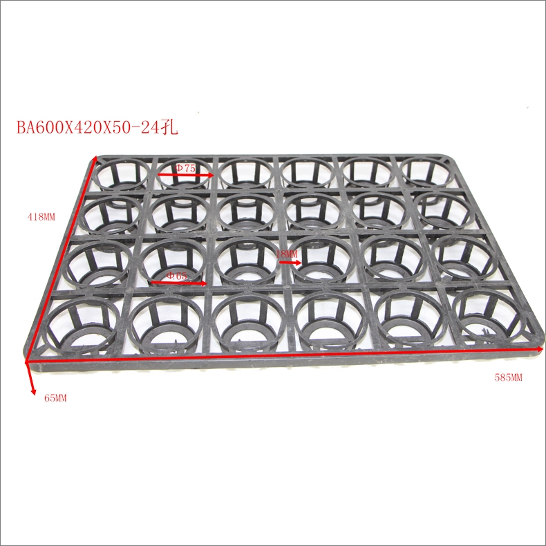 Seed Succulent Planting Trays