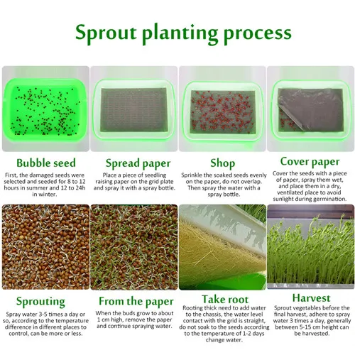 How to Sprout Seeds In A Tray: Using Seedling Trays and Sprout Trays