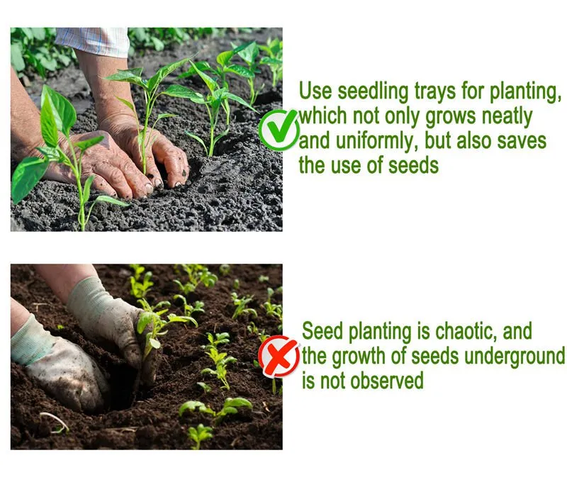Why Structure of Nursery Seedling Tray Design Influence Of Plant ...