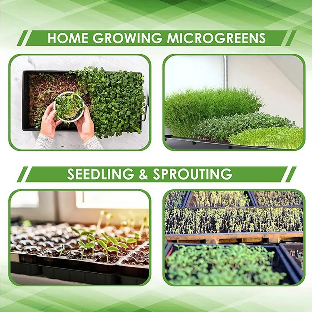 The Essential Guide to 1020 Long Plant Plug Trays for Seedling Plants