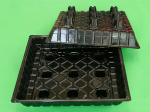 What is Transplanting in Gardenin