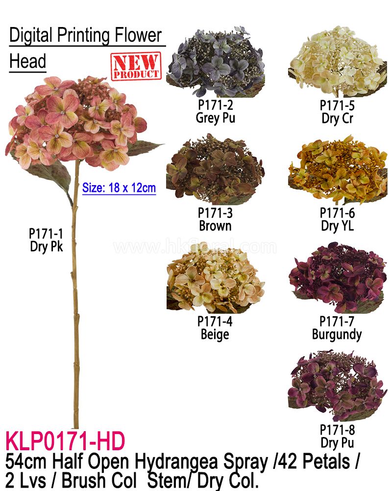 52cm Half Opened Hydrangea Spray/42 Petals/2 Lvs/Brush Col Stem/Dry Col