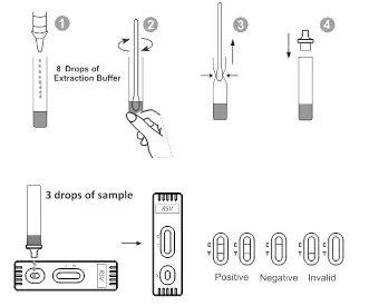RSV antigen rapid test, respiratory tract infections, Respiratory ...