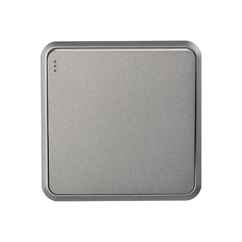 B06 Series Grey Mechanical Switch