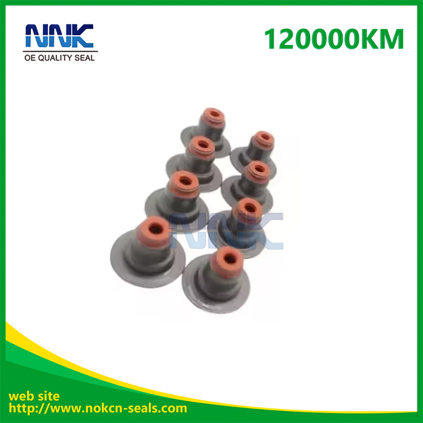 OEM 55574221 24405819 for Chevrolet Cruze Valve Stem Oil