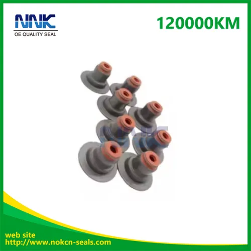 OEM 55574221 24405819 for Chevrolet Cruze Valve Stem Oil