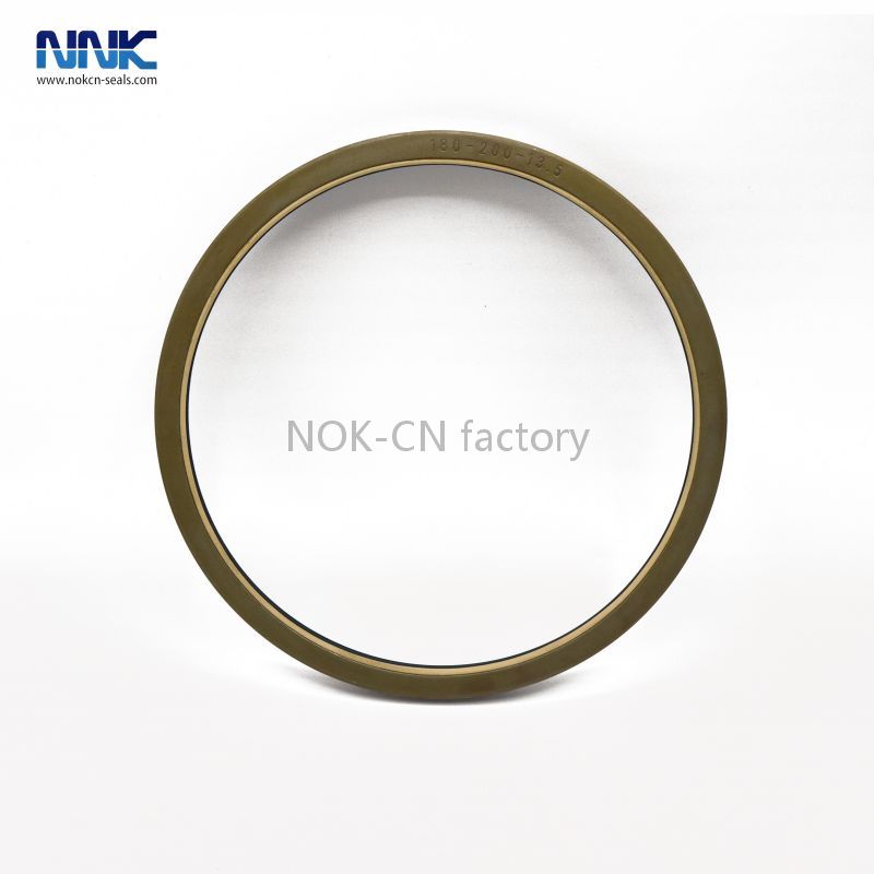 12014157B Oil Seal For Massey Ferguson 3429037M1 170*195*18