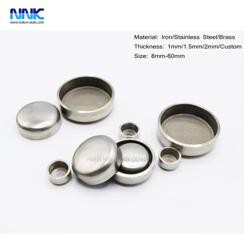 What is the function of Freeze Plug And Expansion Plugs