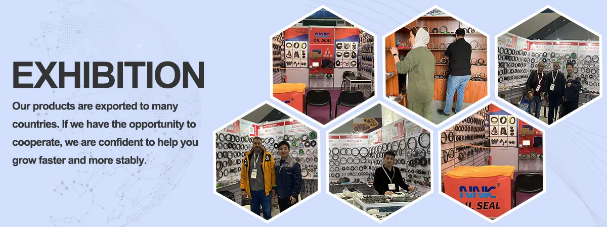 04E103170A Auto Engine Systems Crankshaft Oil Seal Diesel For Audi VW