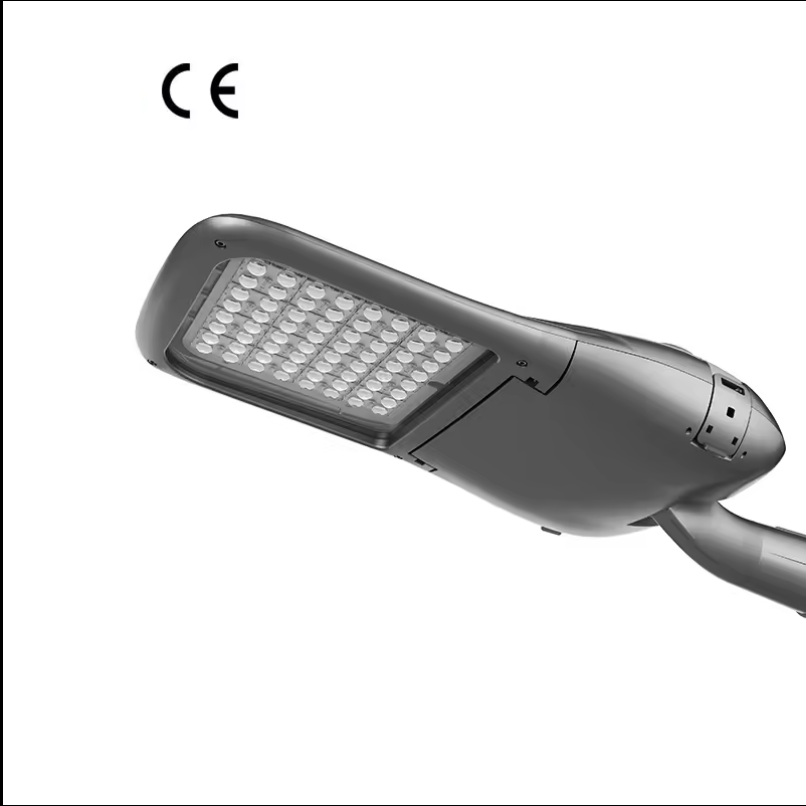 Outdoor Lighting AC 220V led street lights