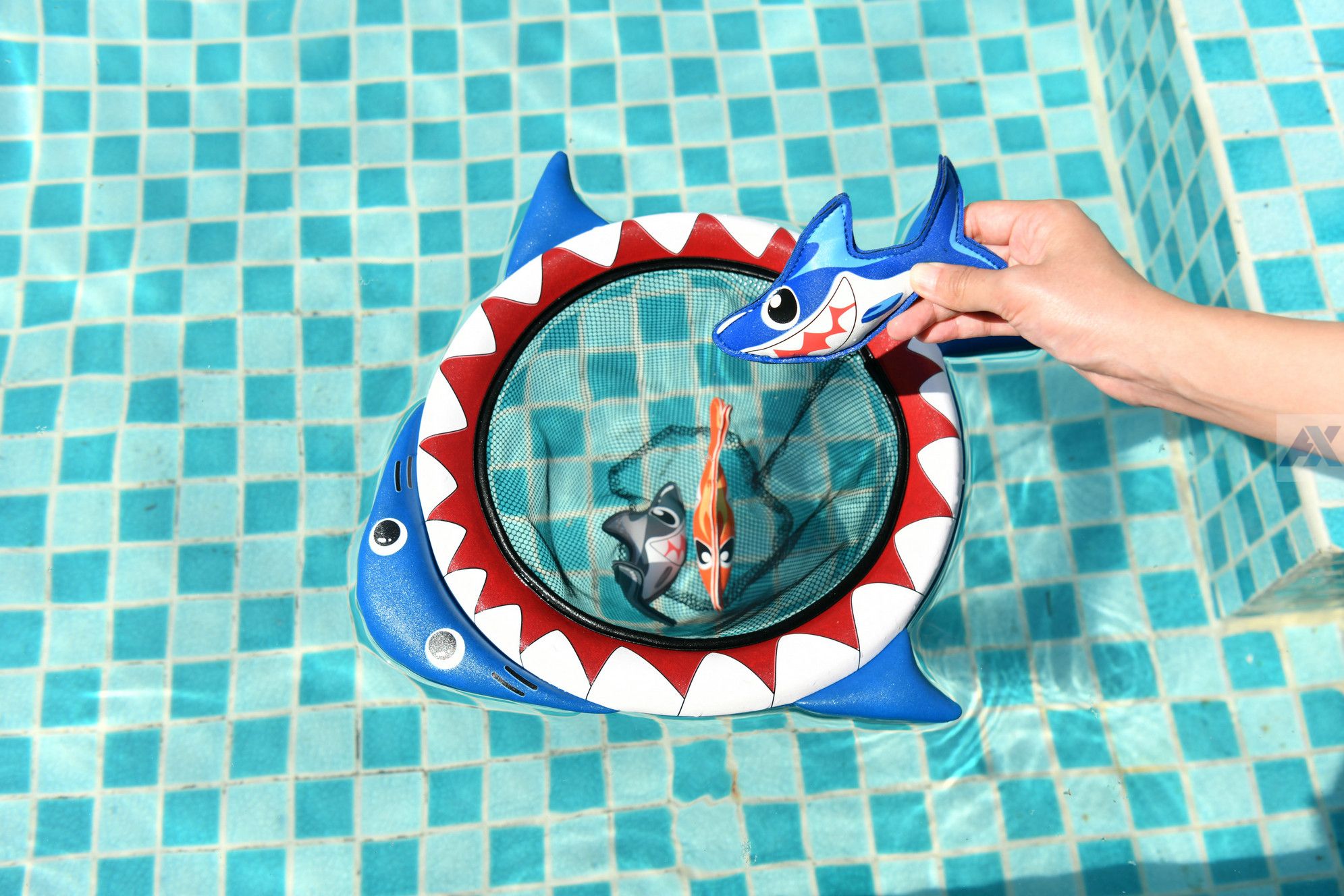 Neoprene Toss Disk Set (Shark Design)