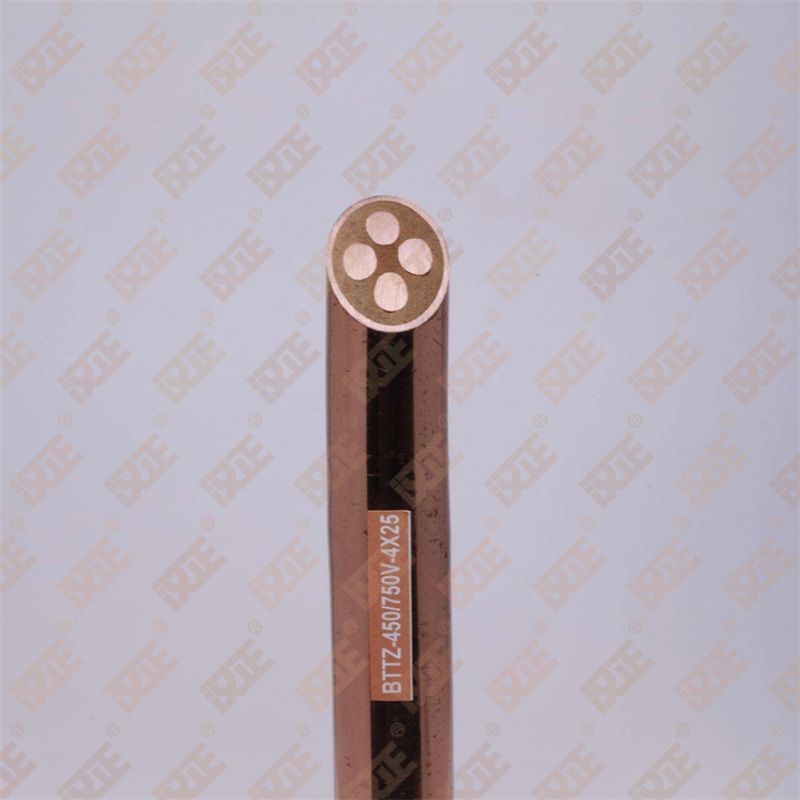 Rigidius Fireproof Cable BTTZ