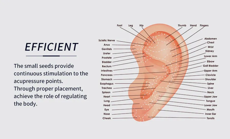 HODAF Ear Acupuncture Patch Pellets Seeds