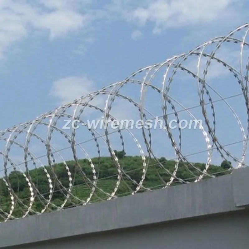 Low price concertina hot dipped galvanized razor blade barbed wire
