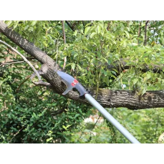 Extra Long Telescopic Tree Pruner